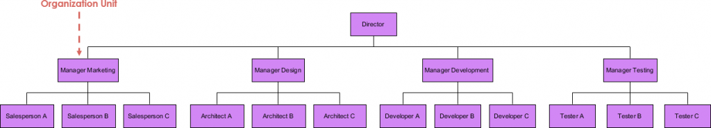 Organization Chart Example: Functional Organizational Template - Visual ...