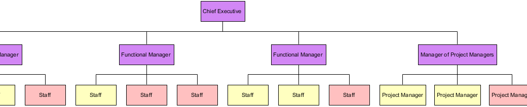 Organization Chart Example Matrix Organizational Template Visual 