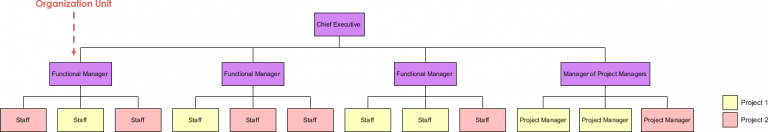 Organization Chart Example: Matrix Organizational Template - Visual ... Organization Chart Example: Matrix Organizational Template - Visual ...