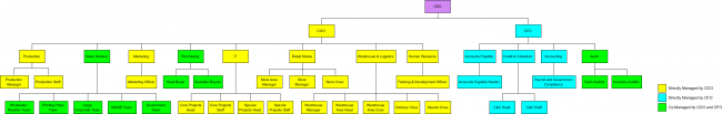 Organization Chart - Organization Chart with Color Legend - Visual ...